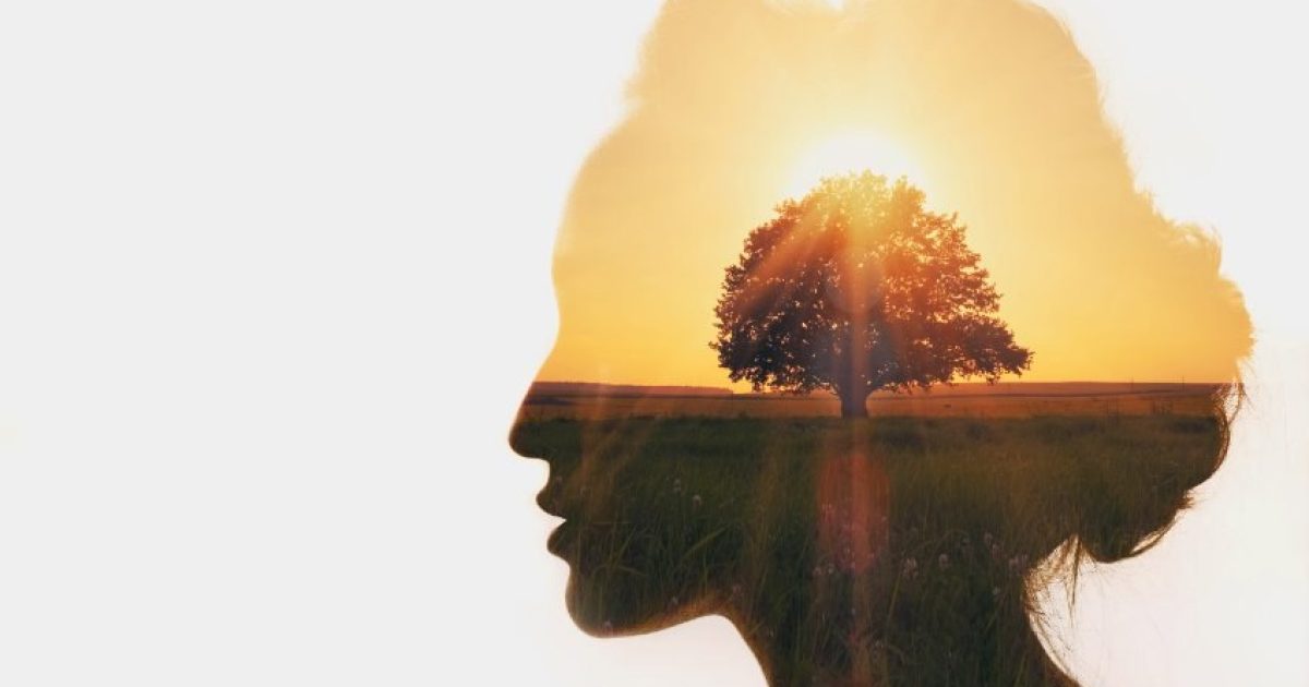 Trauma: the Recovery, Healing, and… | Counseling | Therapy