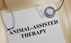 Animal Assisted Therapy tips | Counseling | Therapy